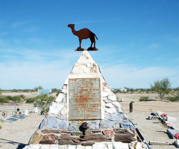 Sam Amca’nın Develeri